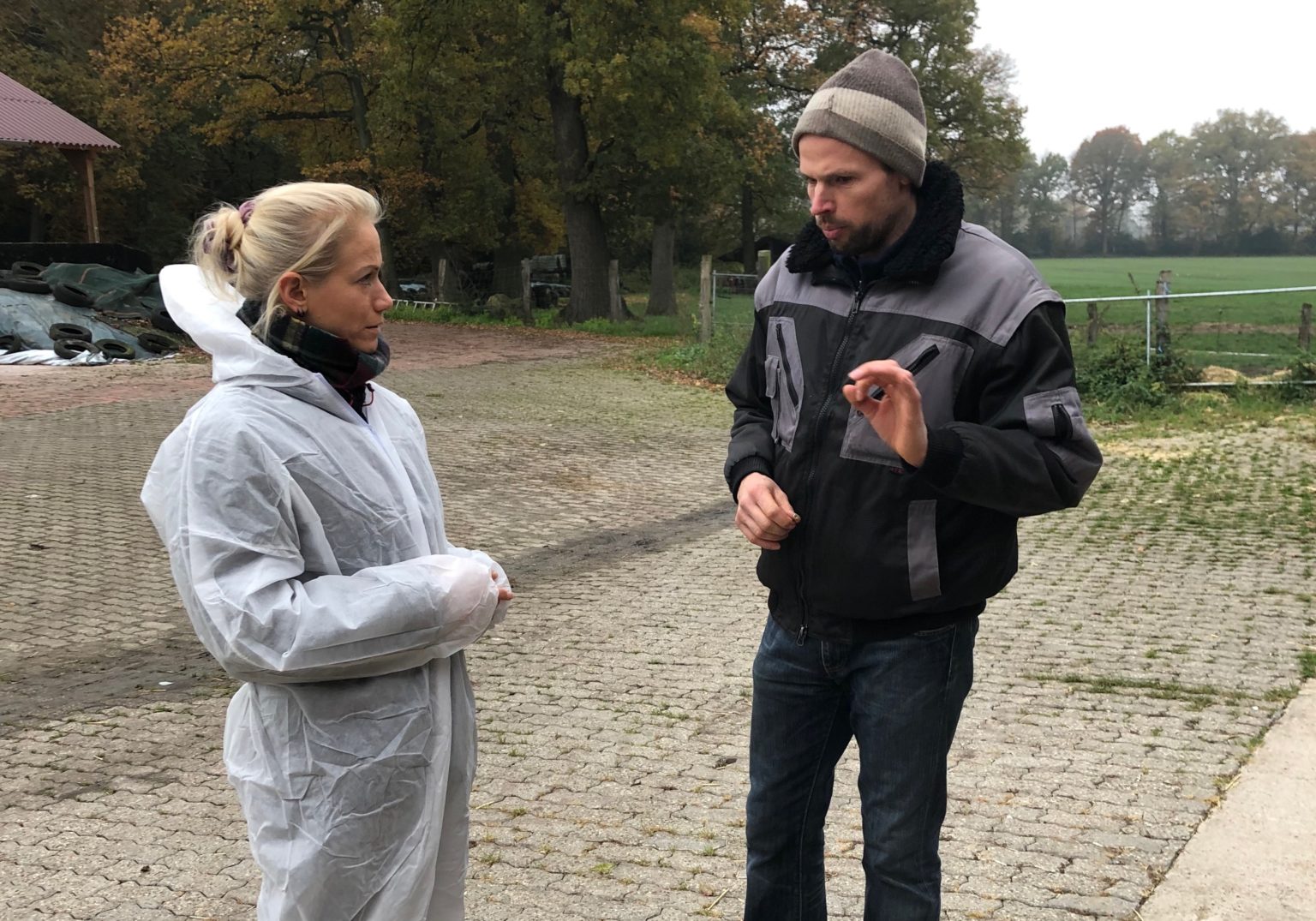 weidefunk auf dem Hof von Carl Ahrens-Westerlage: Warum Schweine in den ...